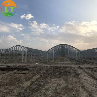 Cina Cornice di serra con rivestimento a pellicola in vendita