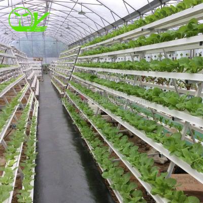 Cina Sistemi idroponici di coltivazione delle piante in vendita