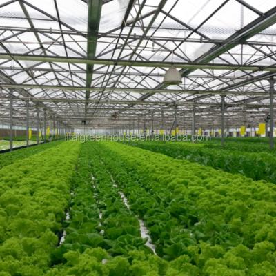 Cina Sistemi idroponici di coltivazione delle piante in vendita