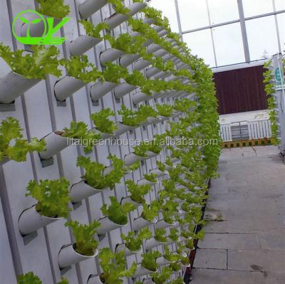 Cina Sistemi idroponici di coltivazione delle piante in vendita