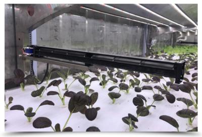 Cina Coltivazioni efficienti Serre solari per l'agricoltura tutto l'anno in vendita