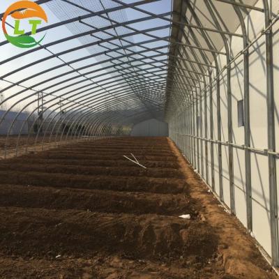 Cina Sistema di serra idroponica per serra solare ad alta resistenza e fiori vegetali in vendita