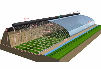 Cina Serra solare agricola ecologica con banchi serra in vendita