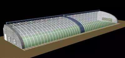 Cina Serra solare agricola ecologica con banchi serra in vendita