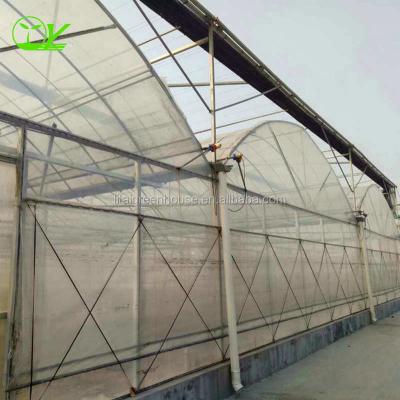 Cina Sistema di coltivazione di pomodori idroponici per verdure in vendita