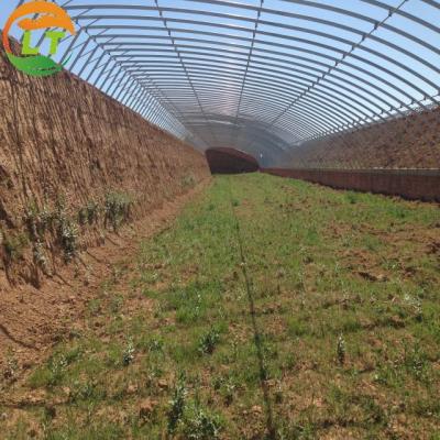 Cina Serre solari per l'agricoltura ad alta resistenza con facile montaggio e banchi per serre in vendita