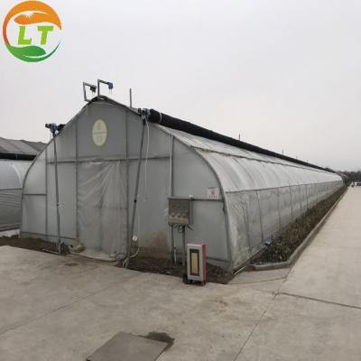 Cina Serra agricola trasparente per la coltivazione di funghi Lunghezza 30-100m o personalizzata in vendita