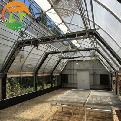 Cina Serra agricola trasparente per la coltivazione di funghi Lunghezza 30-100m o personalizzata in vendita