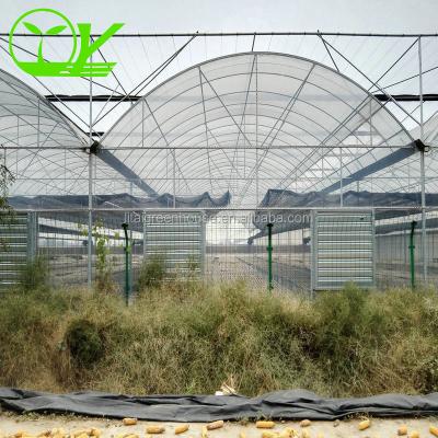 Cina Sistema di coltivazione idroponica di ortaggi in serra industriale con volume di 11 litri in vendita
