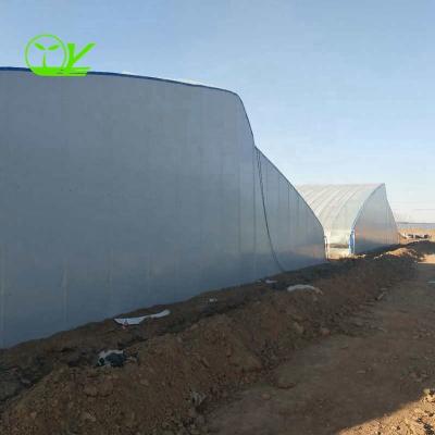 Cina Serre solari agricole con sistema di ventilazione e arco personalizzabile in vendita
