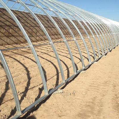 Cina Serre solari agricole con sistema di ventilazione e arco personalizzabile in vendita