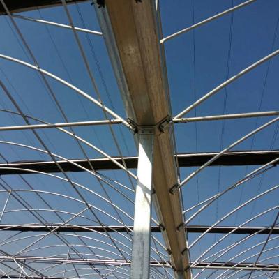 China Large Hot Galvanized Steel Structure Gutter Connected Greenhouse with Height 3.0-4.8m for sale