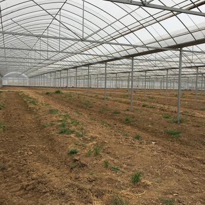 Cina Sistema idroponico avanzato per la coltivazione di ortaggi a foglia in serre agricole in vendita