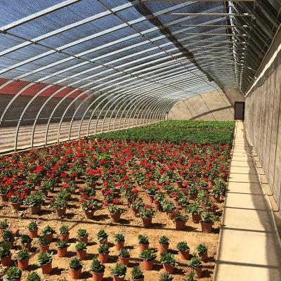 Cina Serre solari per la coltivazione di fiori e ortaggi progettate in modo efficiente in vendita