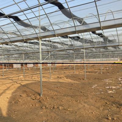 中国 高さ3.0~4.8mの大きな熱熱電鋼構造の溝付き温室 販売のため