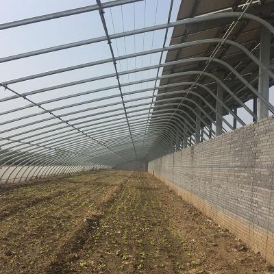 Cina Serre solari per la coltivazione di fiori e ortaggi progettate in modo efficiente in vendita