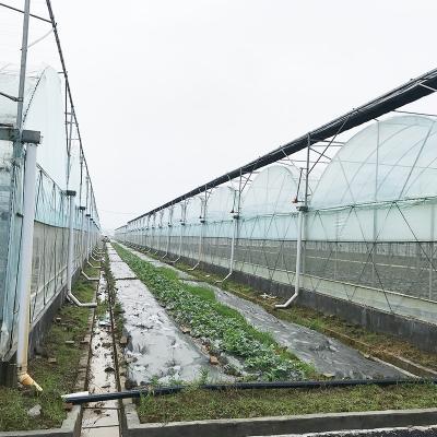 Cina Sistema idroponico avanzato per la coltivazione di ortaggi a foglia in serre agricole in vendita
