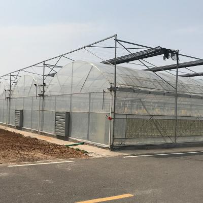 Cina Sistema idroponico avanzato per la coltivazione di ortaggi a foglia in serre agricole in vendita