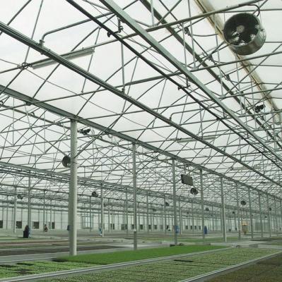 China Ventilatie in 30-100 meter lange slimme kas met IOT-systeem en mestmachine Te koop