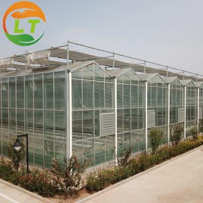 Cina Serra di vetro di 3 m di altezza per la coltivazione di pomodori in disegno scheletrico personalizzato in vendita
