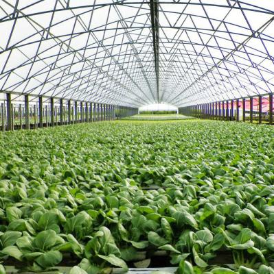China Ventilatie in 30-100 meter lange slimme kas met IOT-systeem en mestmachine Te koop