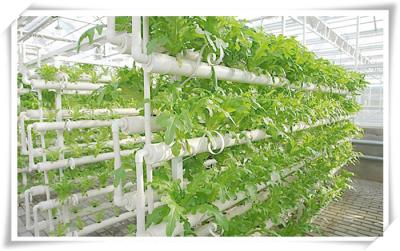 Cina Incluso il sistema NFT idroponico per la soluzione di irrigazione facoltativa in serra in vendita