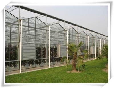 Cina Incluso il sistema NFT idroponico per la soluzione di irrigazione facoltativa in serra in vendita