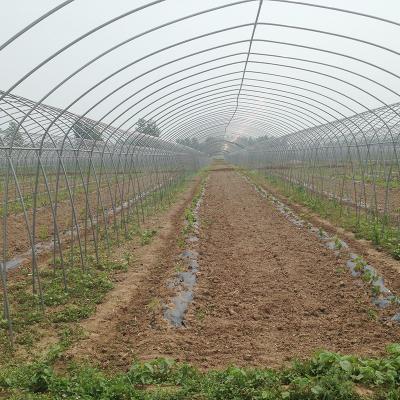 Cina Serra di vetro/film di plastica per l'agricoltura e il bestiame altezza indicata in vendita