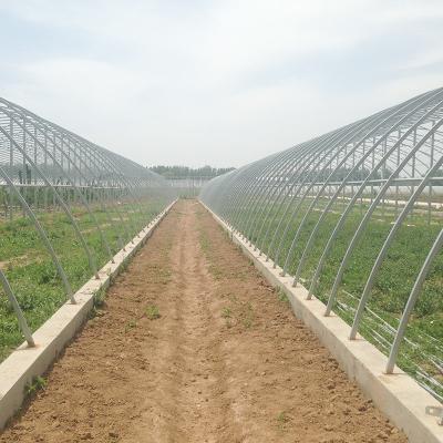 Cina Serra di vetro/film di plastica per l'agricoltura e il bestiame altezza indicata in vendita