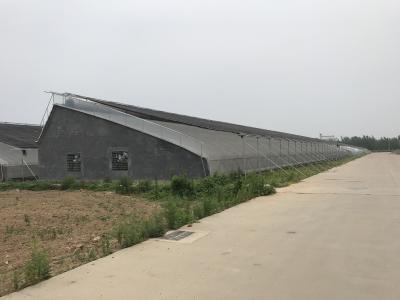 Cina Copertina del film Kit per serre solari invernali per una stagione di crescita prolungata in vendita