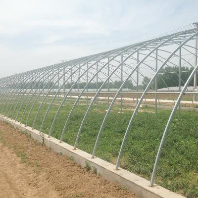 Cina PE Serra Arche Film Tunnel a lunghezza singola per ortaggi in vendita