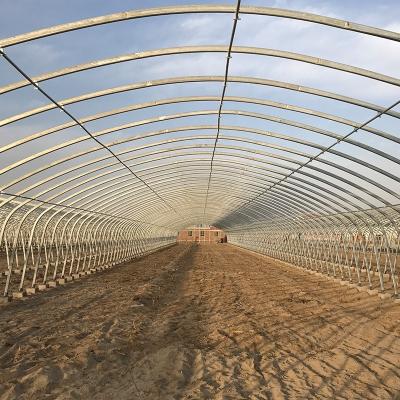 Cina PE Serra Arche Film Tunnel a lunghezza singola per ortaggi in vendita