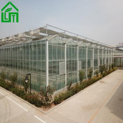 Cina Serra in vetro larghezza 8 m per la coltivazione di verdure struttura stabile e personalizzabile in vendita