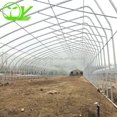 Cina Serra di pellicola di plastica agricola conveniente per ortaggi frutti fiori in vendita