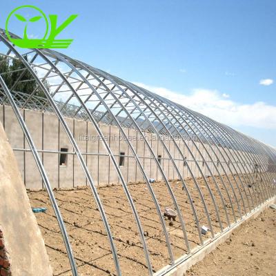 Cina Serra di pellicola di plastica agricola conveniente per ortaggi frutti fiori in vendita