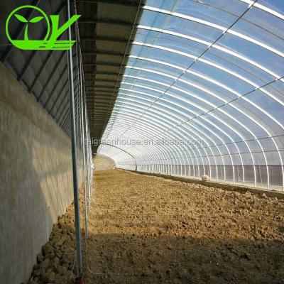 Cina Serra di pellicola di plastica agricola conveniente per ortaggi frutti fiori in vendita