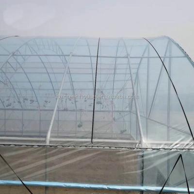 Cina Serra di pellicola di plastica agricola conveniente per ortaggi frutti fiori in vendita