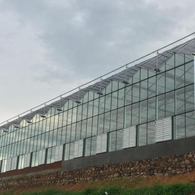 Cina Serra di pellicola di plastica agricola conveniente per ortaggi frutti fiori in vendita