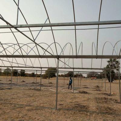 Cina Tetti a uno strato e ventilazione laterale serra commerciale per la coltivazione di pomodori in Namibia in vendita