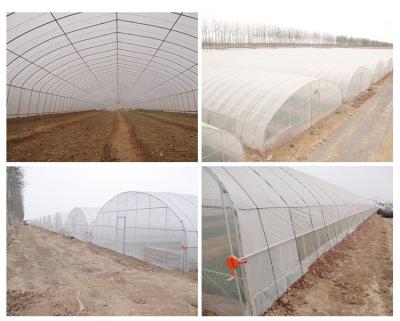 Cina Soluzione per la coltivazione di prodotti agricoli con serre a singolo tratto in vendita