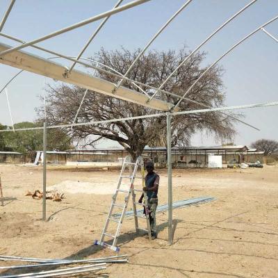 Cina Tetti a uno strato e ventilazione laterale serra commerciale per la coltivazione di pomodori in Namibia in vendita
