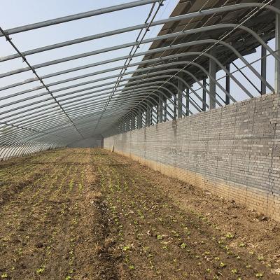 Cina Ortaggi Frutti Fiori Inverno Luce solare Serra solare Stile cinese in vendita