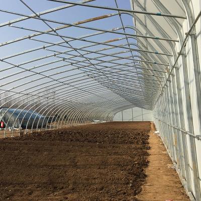 Cina Ortaggi Frutti Fiori Inverno Luce solare Serra solare Stile cinese in vendita