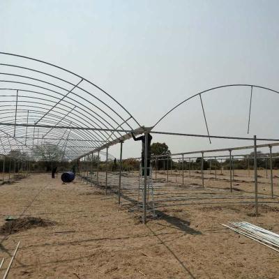 Cina Serra rivestita da pellicola per l'agricoltura in Namibia Altezza conveniente e personalizzabile in vendita
