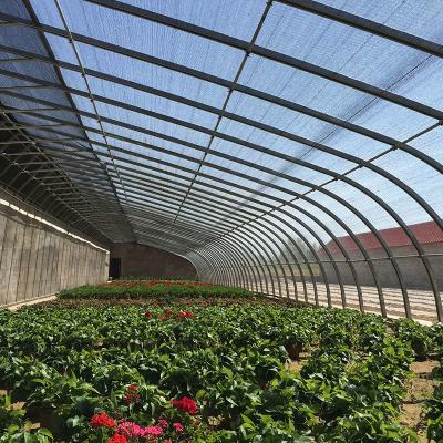 Cina Ortaggi Frutti Fiori Inverno Luce solare Serra solare Stile cinese in vendita