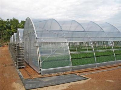 Cina Mini serre resistenti ai raggi UV per l'agricoltura pellicola di plastica durevole e ventilazione laterale in vendita