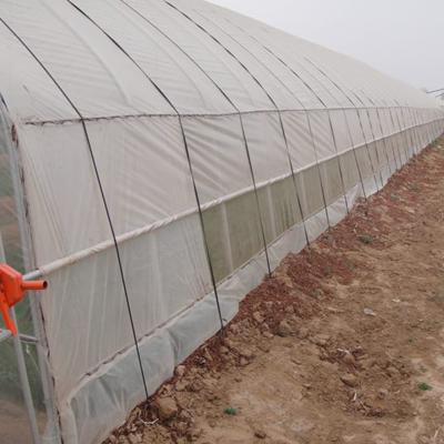 Cina Mini serre resistenti ai raggi UV per l'agricoltura pellicola di plastica durevole e ventilazione laterale in vendita