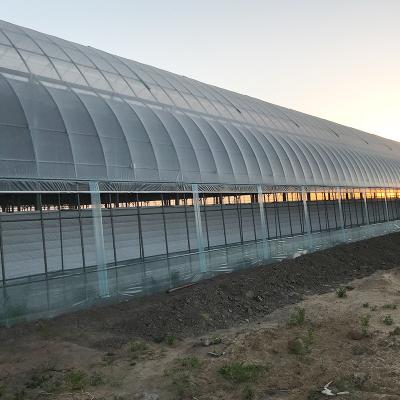 Cina Serre agricole multi-span Sistema di coltivazione idroponica avanzata per la sezione 4m/8m in vendita
