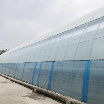 Cina Serre agricole multi-span Sistema di coltivazione idroponica avanzata per la sezione 4m/8m in vendita