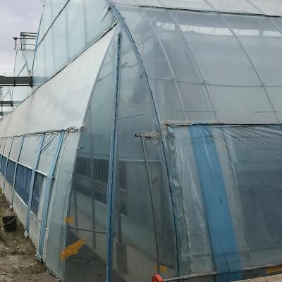 Cina Serre agricole multi-span Sistema di coltivazione idroponica avanzata per la sezione 4m/8m in vendita